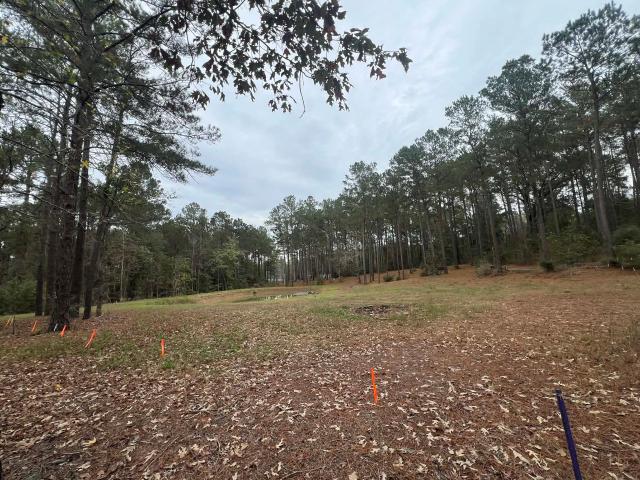 768 County Road 219, Brookeland, TX 75931 | MLS #50556