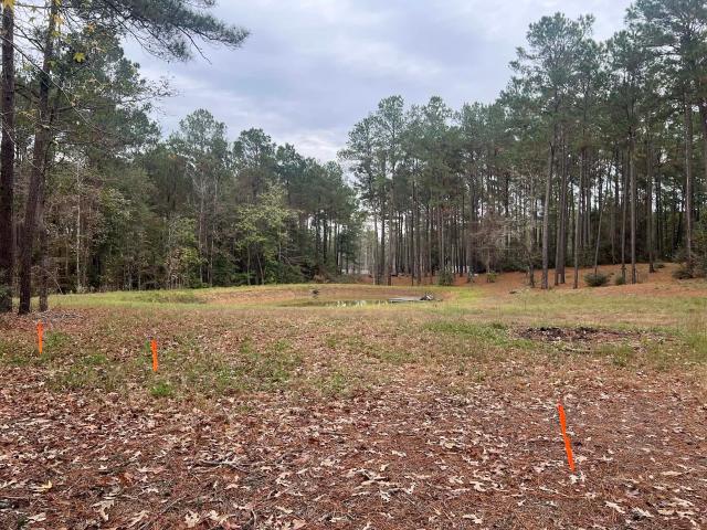 768 County Road 219