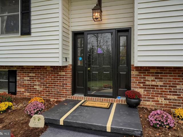 768 Dry Hollow Road