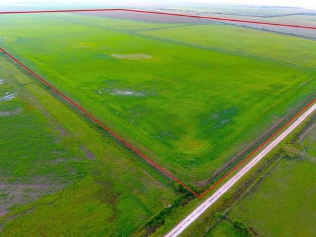768 Million Dollar Rd, Palacios, TX 77465
