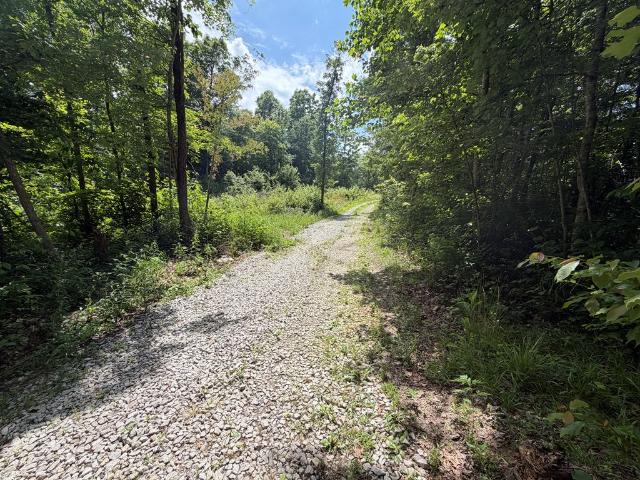 768 Remington Rd