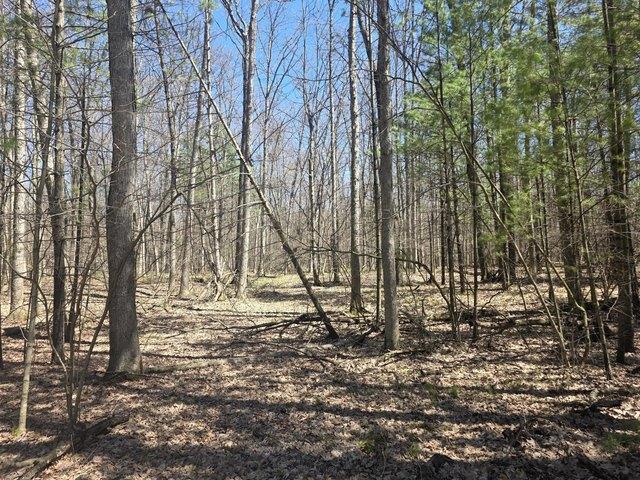 7696 Muskegon Blvd, Newaygo, MI 49337