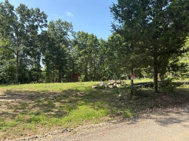 7699 Nine Mile Ridge Rd, Hardy, AR 72542
