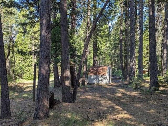 7693 Linda Rd, Shingletown, CA 96088