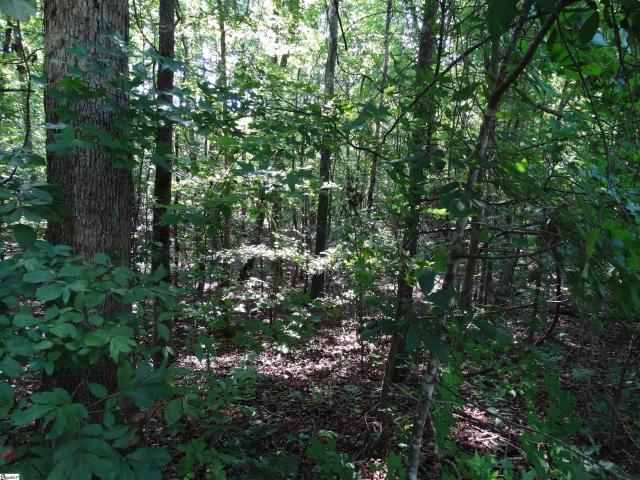 76 Tanyard Road