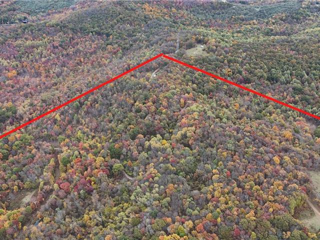 76 Acres along Braughler Road