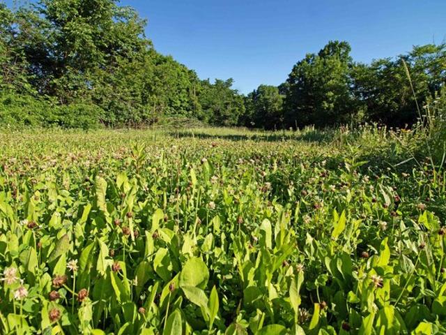 76 Acres Skyline Rd, Blue River, WI 53518