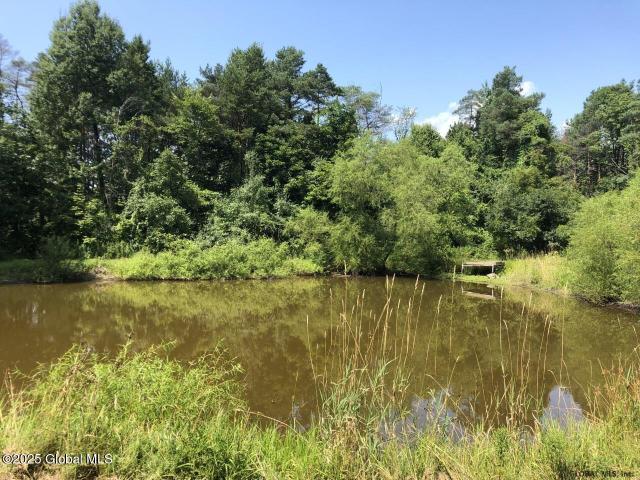 76 Ashdown Rd, Clifton Park, NY 12019 | MLS #202520 | Compass