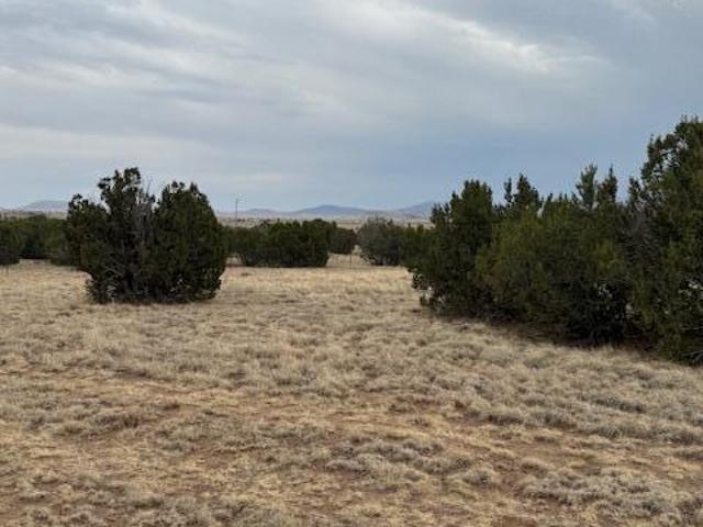 76 County Road 8010