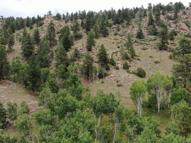 76 Crocus Cir, Florissant, CO 80816
