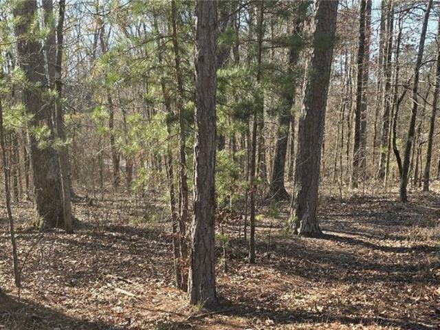 76 Elcano Dr Lot 1, Hot Springs Village, AR 71909