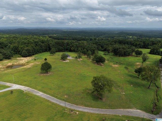 76 Fat Adams Dr Lot 25, Hayden, AL 35079