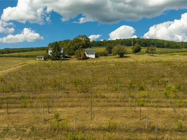 76 Hammondsport, NY 14840 | MLS #S1635