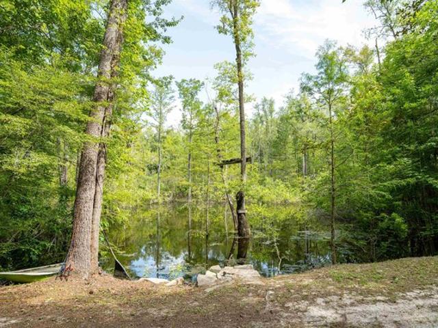 76 Harley Davidson Ln, Crawfordville, FL 32327