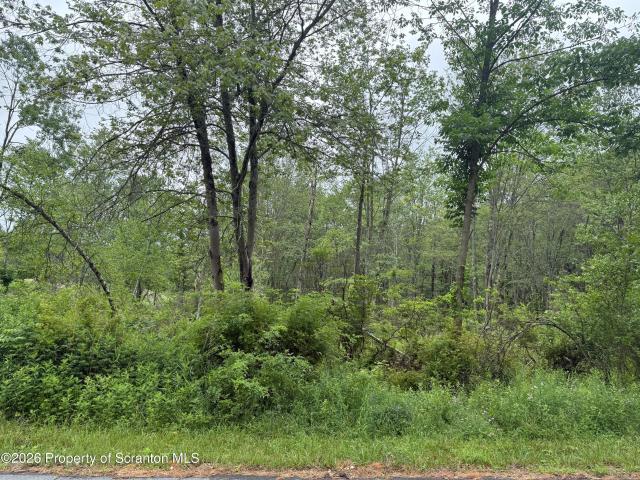 76 Highpoint Drive