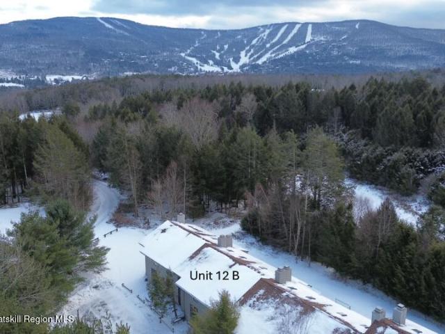 76 Loo Bridge Ln, Unit 12B, Windham, NY 12496 | MLS #20256 | Compass