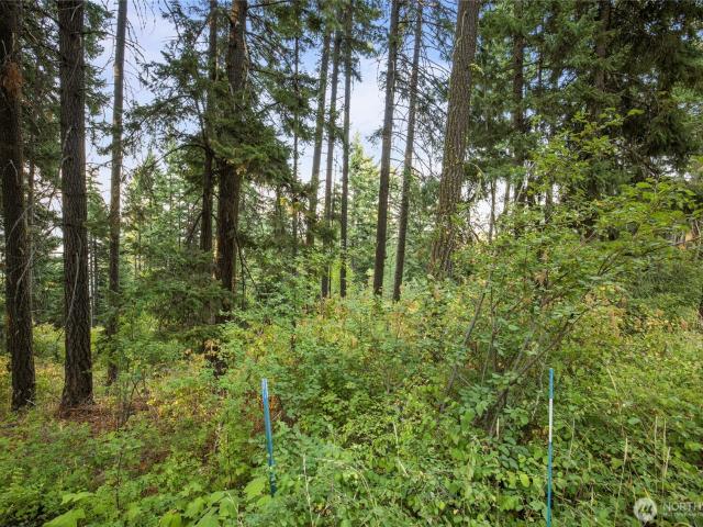 76 Lot Horse Haven Road