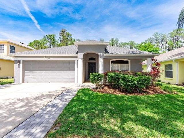 7706 Citrus Blossom Dr, Land O Lakes, FL 34637