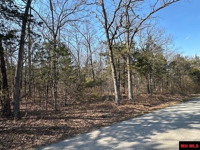 77000936 Orchard St, Flippin, AR 72634