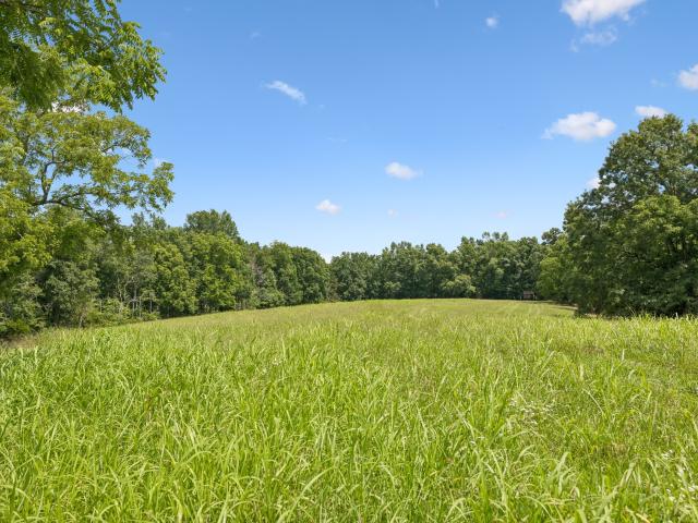 7700 Daugherty Capley Rd