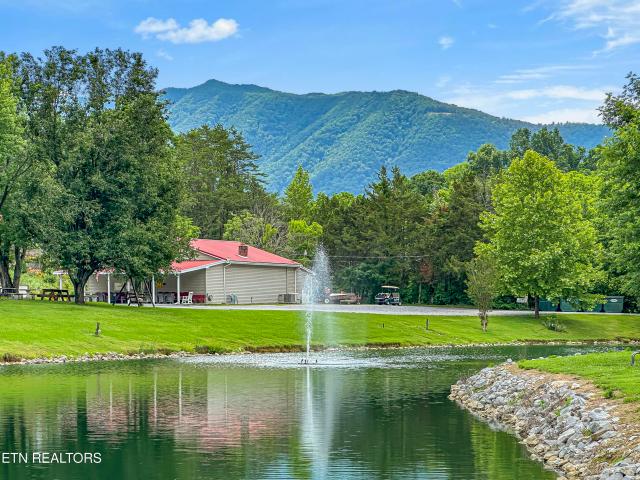 770 Big Valley Blvd