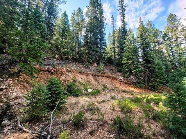 770 N Skyline View Dr, Duck Creek, UT 84762