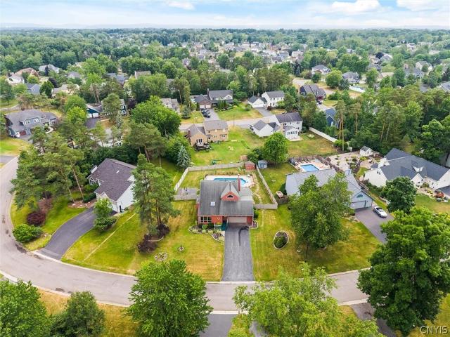 7719 Black Willow