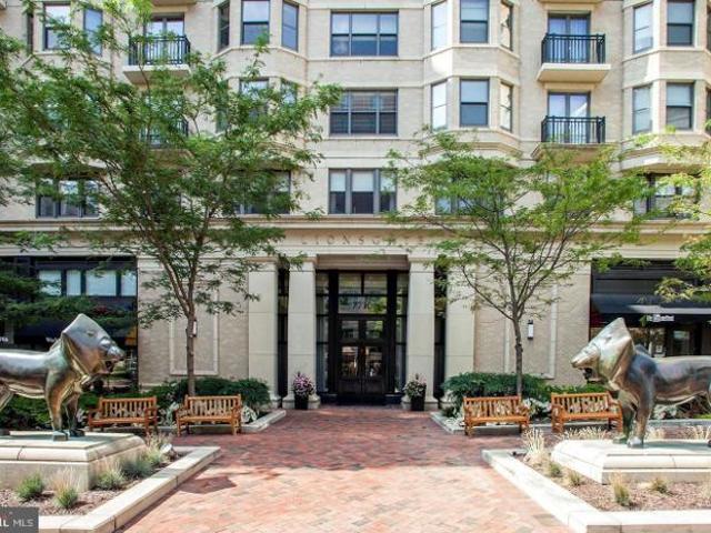 7710 Woodmont Ave #313, Bethesda, MD 20814
