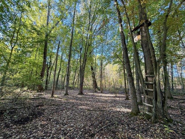 7710 21 Mile Rd NE, Sand Lake, MI 49343