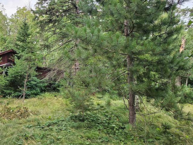7712 County Road 13