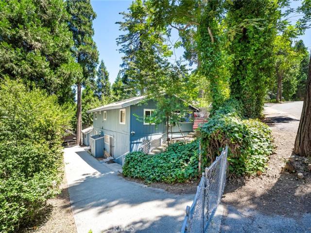771 Woodland