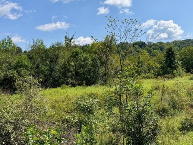 77250 Kinsey Orchard Rd, Freeport, OH 43973