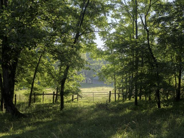 7725 Caney Fork Rd