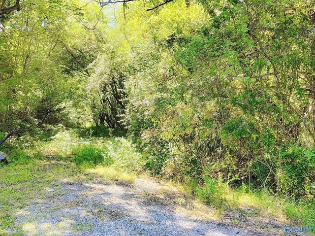 7725 Lavender Rd, Adger, AL 35006