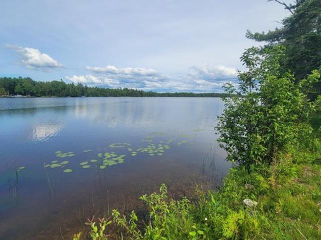 7726 Kleber Rd, Onaway, MI 49765
