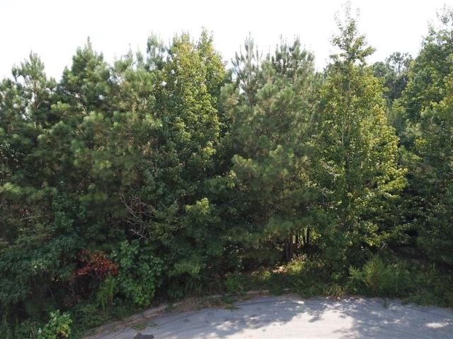 7722 Austin Ct, Winston, GA 30187 | MLS #7707