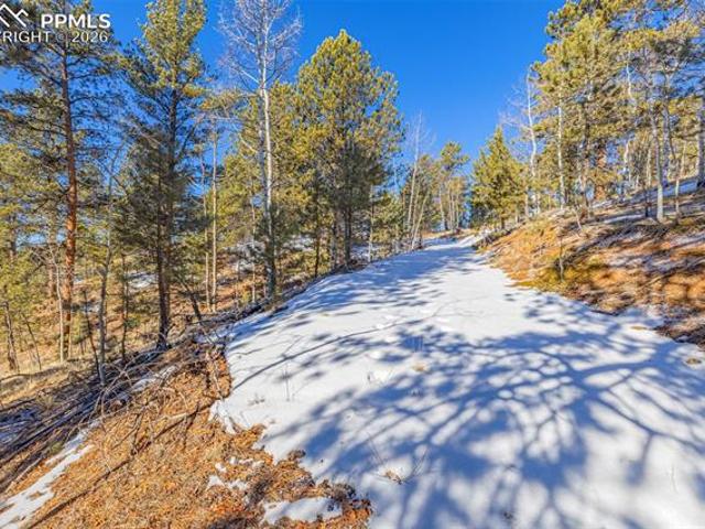 772 E Bison Creek Trail