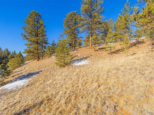 772 E Bison Creek Trail, Florissant, CO 80816 | MLS #4545