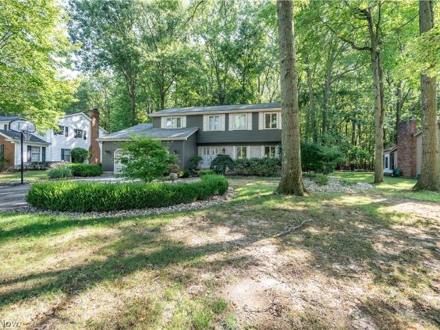 7733 Silver Fox Drive