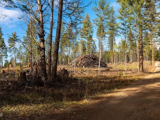 773 Cougar Loop, Clark Fork, ID 83811