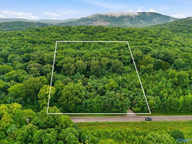 773 McCutcheon Loop Rd SE, Laceys Spring, AL 35754