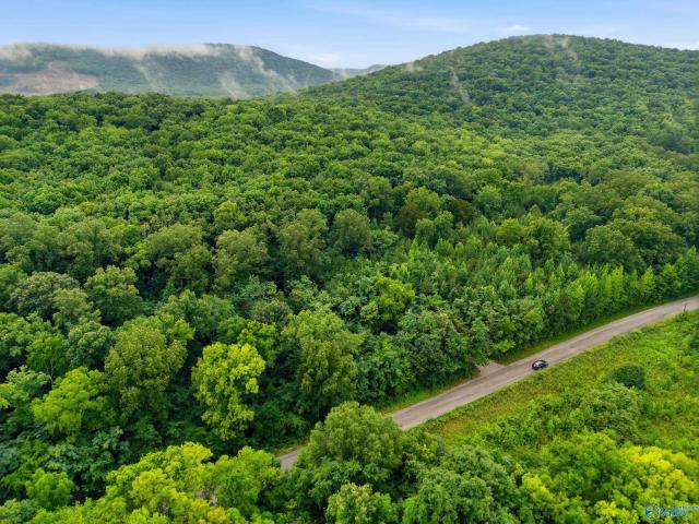 773 Mccutcheon Loop Road