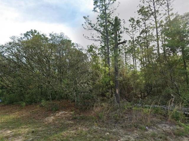7745 N Maltese Dr, Citrus Springs, FL 34433