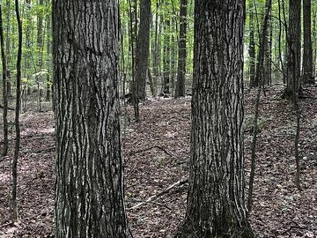7745 Kingsley Rd, Kingsley, MI 49649