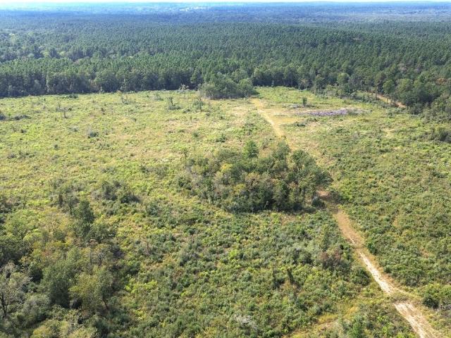 7749 County Road 4200, Pennington, TX 75856 | MLS #13459