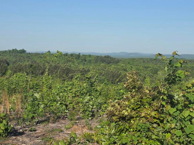 7740383 Skeen View Road