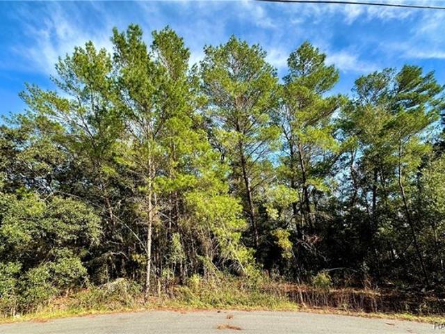 7741 N Oasis Pt, Citrus Springs, FL 34433