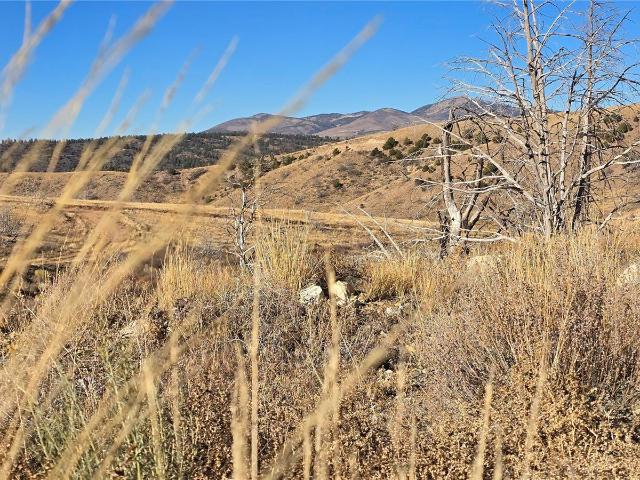 7741 Van Giesen Road