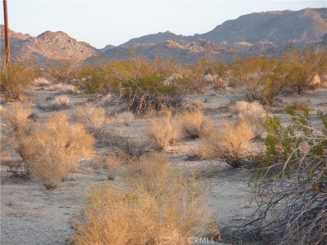 774 Manzanita Road