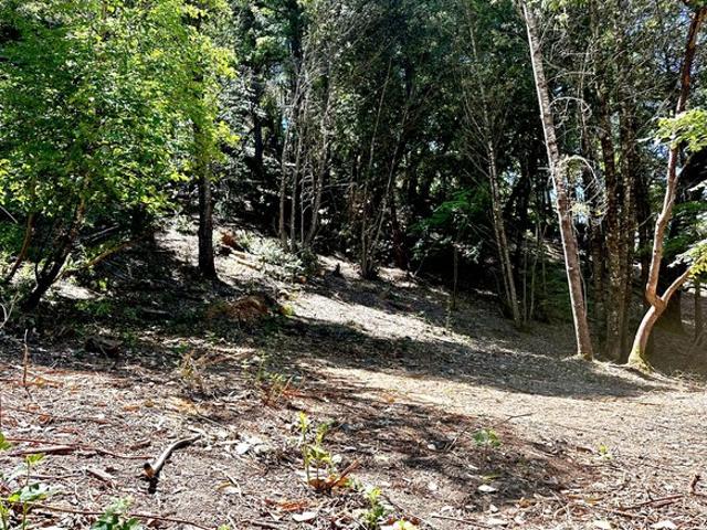 775 and 801 Forest View Dr, Willow Creek, CA 95573